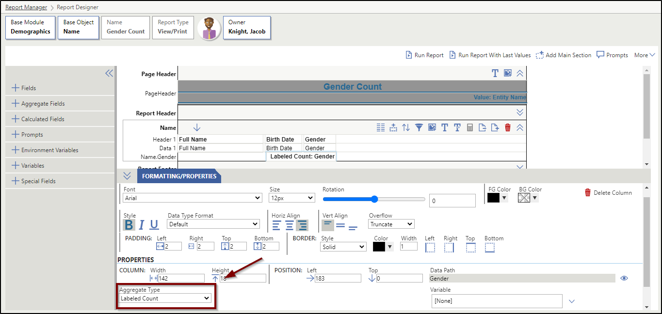 Report Field Formatting/Properties